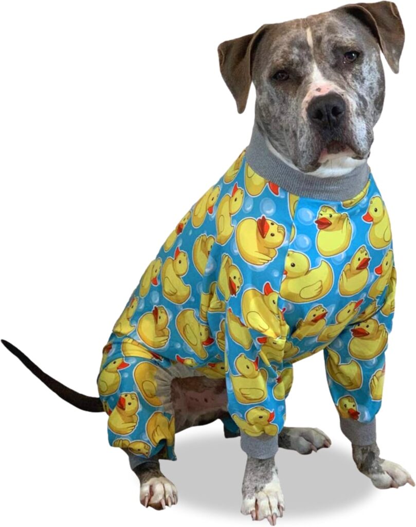 Rubber Ducky Dog Pajamas – Tooth & Honey