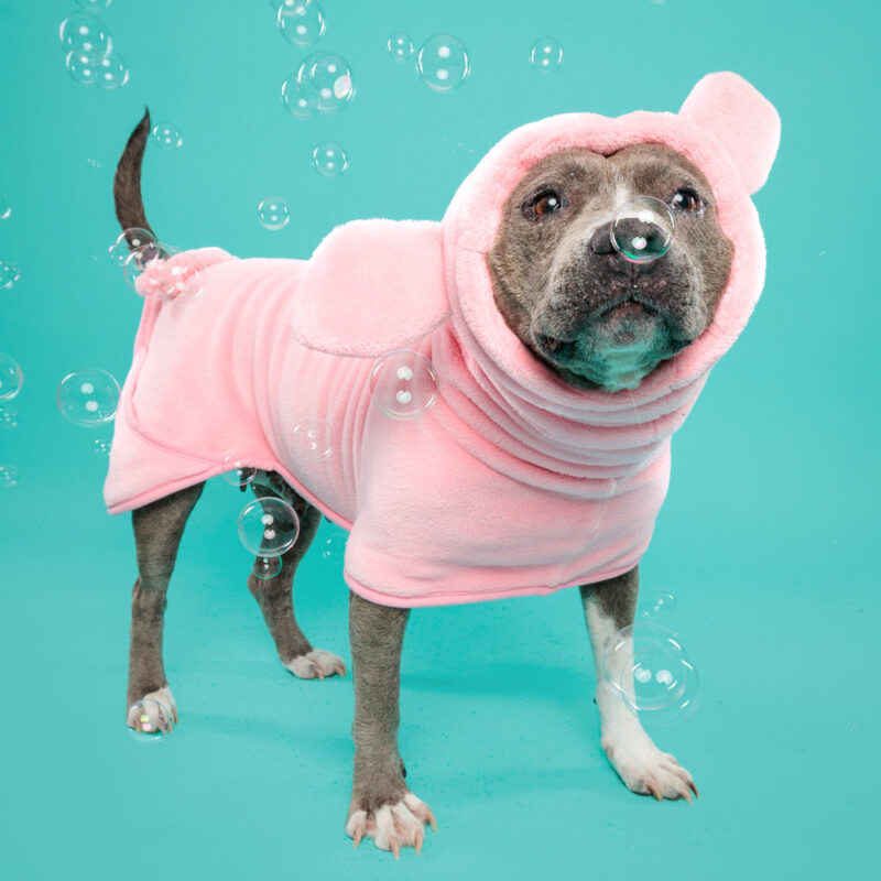 Pig Dog Bathrobe-Soft Absorbent Hooded Drying Robe for Dogs After Bath