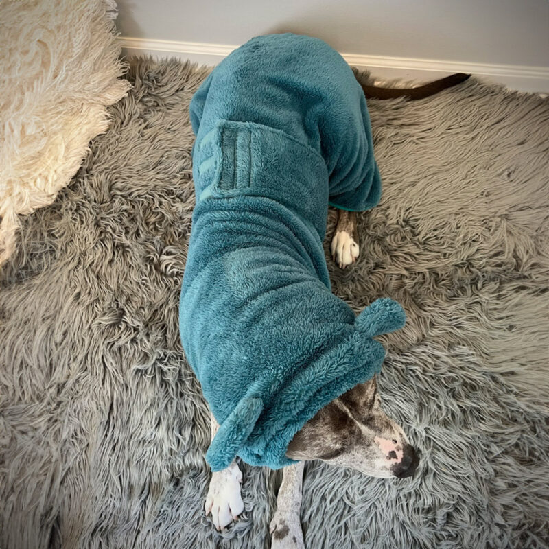 Fuzzy Bear Wrap | Teal – Tooth & Honey