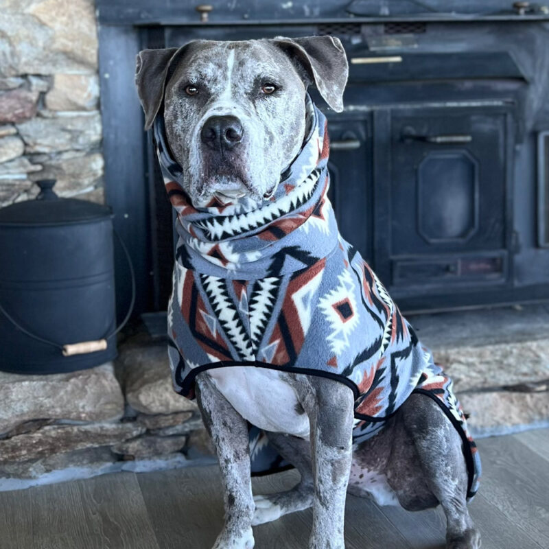 Moon Valley Fleece Dog Wrap – Tooth & Honey